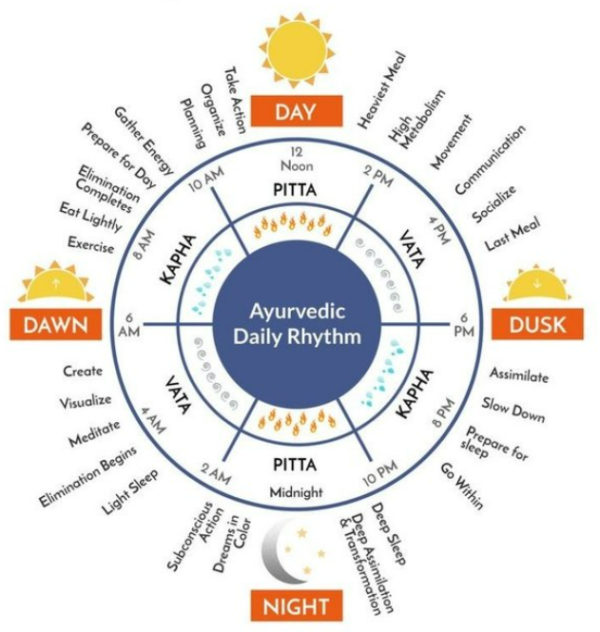 Decoding the Ayurvedic Clock: Aligning Daily Routines with Body's ...
